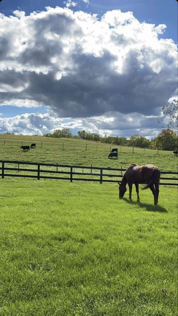 Gallery – Shadow Hills Ranch