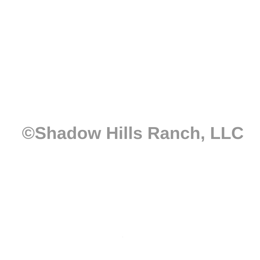 Moving Cattle- An Art and a Science – Shadow Hills Ranch